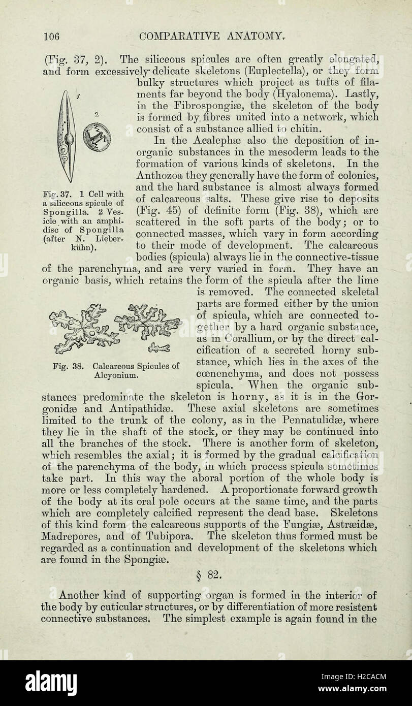 This text provides a comprehensive overview of comparative anatomy ...