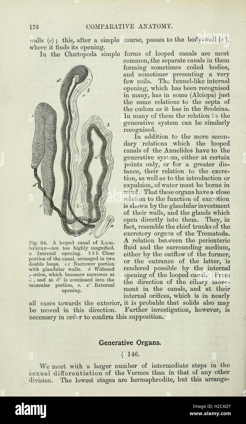 This work discusses the fundamental principles of comparative anatomy ...
