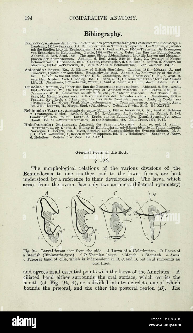 An exploration of the key principles of comparative anatomy, detailing ...