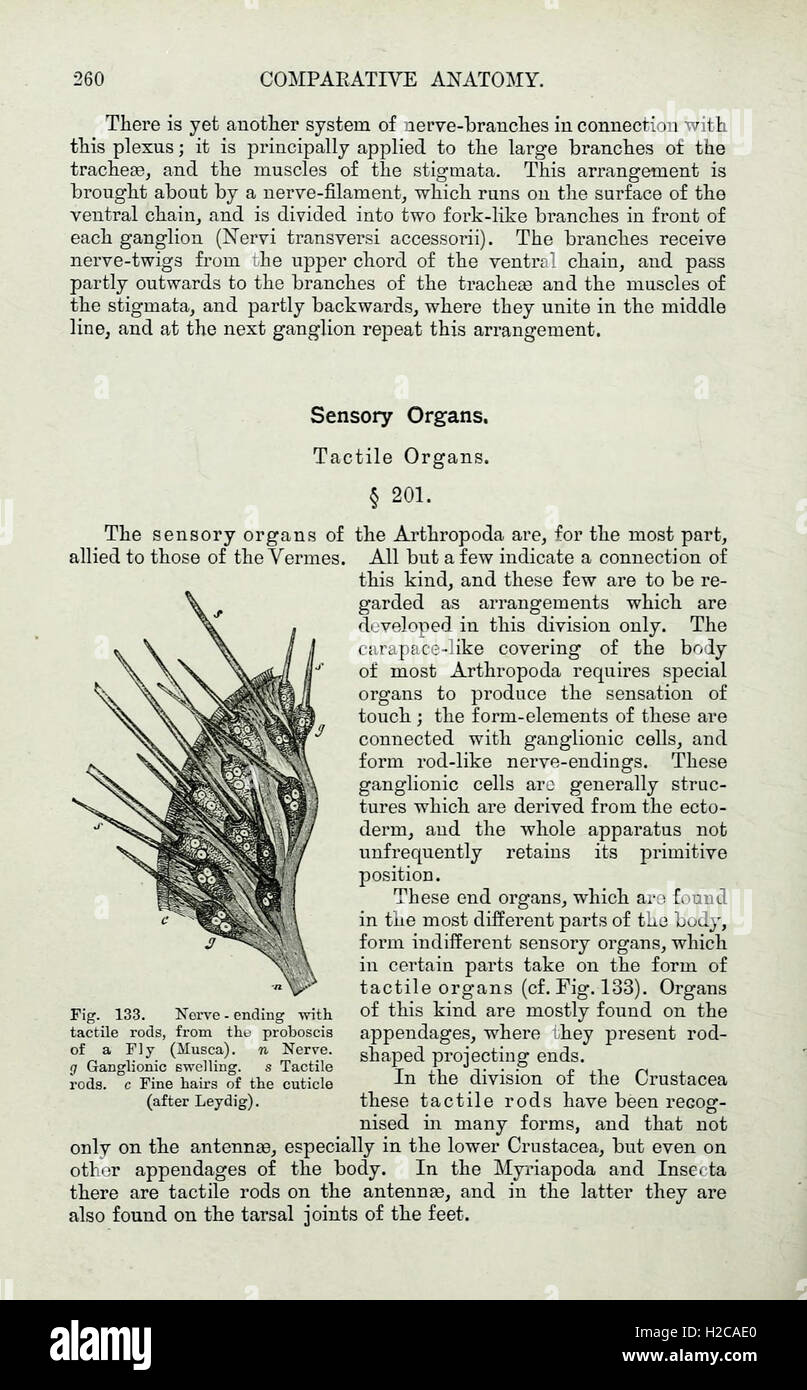 This textbook provides foundational knowledge on comparative anatomy ...