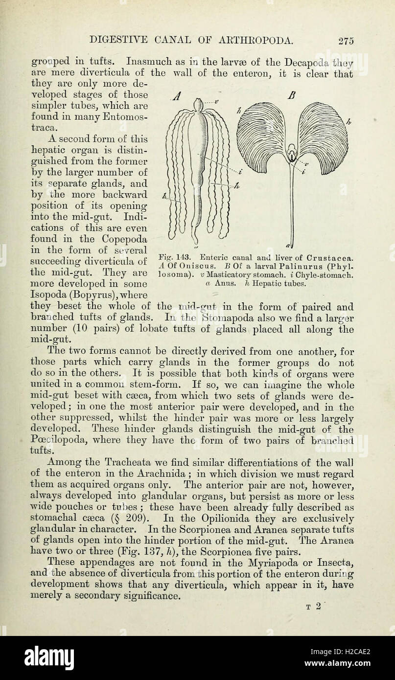 This text presents the principles of comparative anatomy, comparing the ...