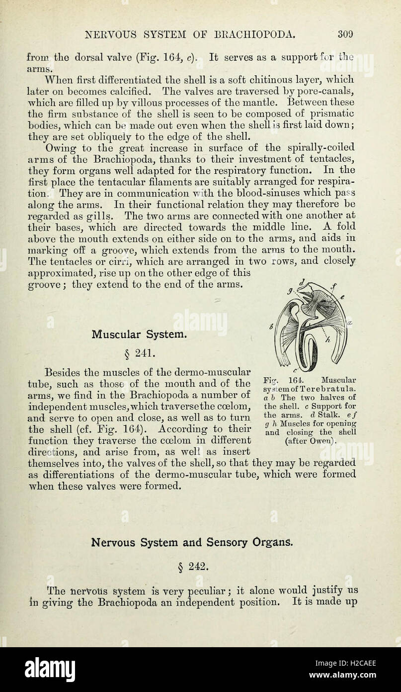 This page from 'Elements of Comparative Anatomy' discusses anatomical ...