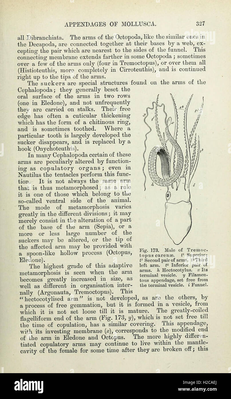 A foundational text in comparative anatomy, examining the similarities ...