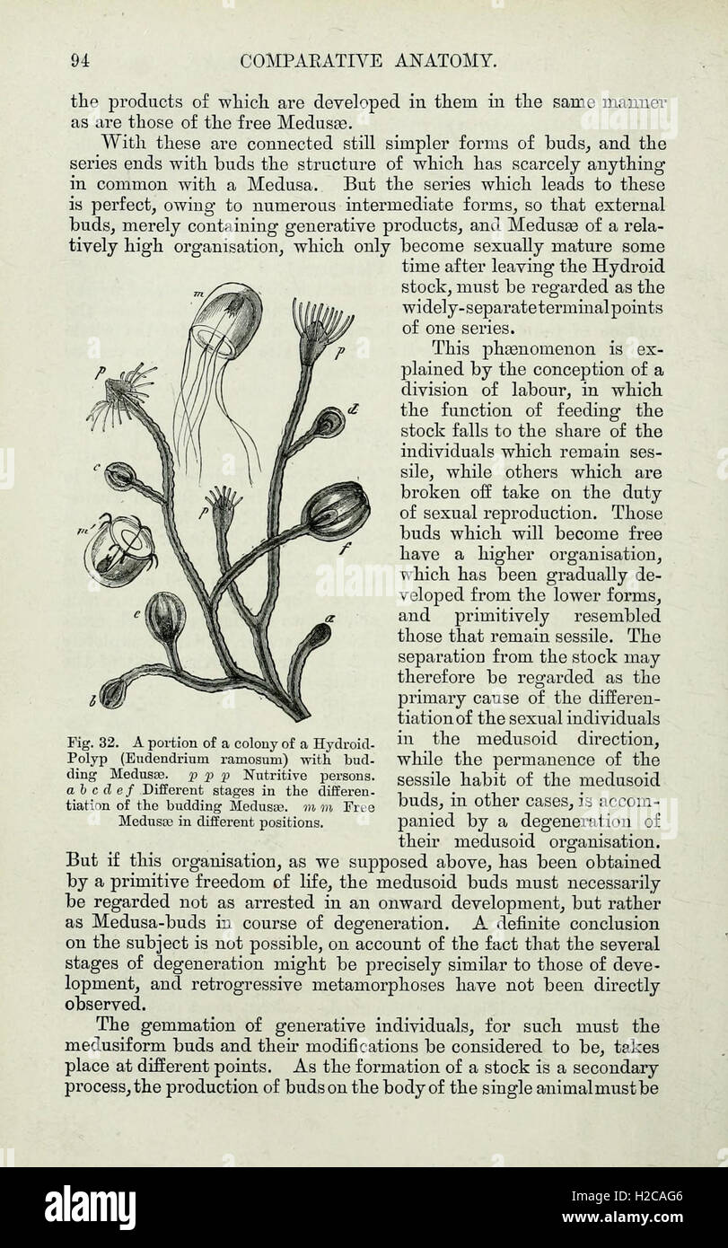 'Elements of Comparative Anatomy' provides insights into the structural ...