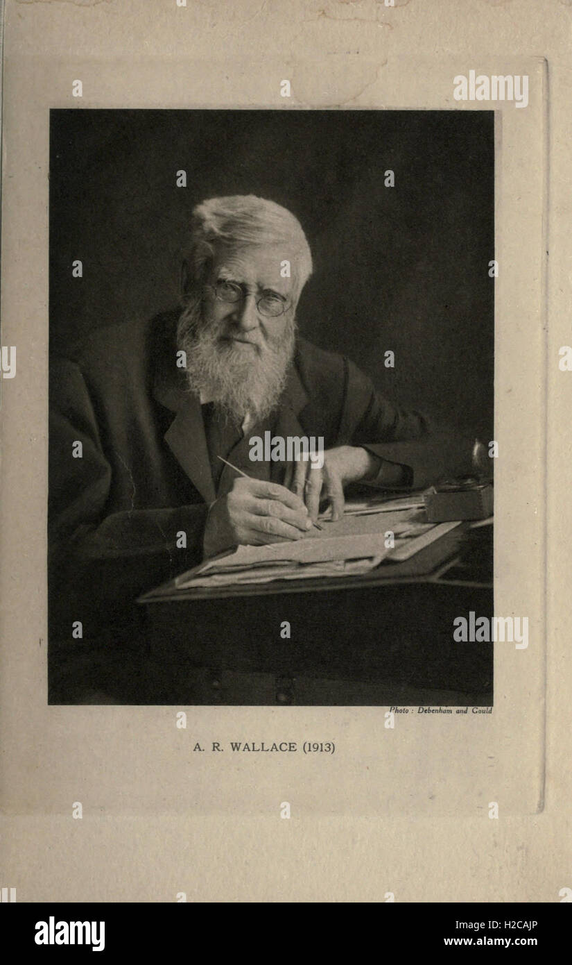 Alfred Russel Wallace was a British naturalist known for his work on ...