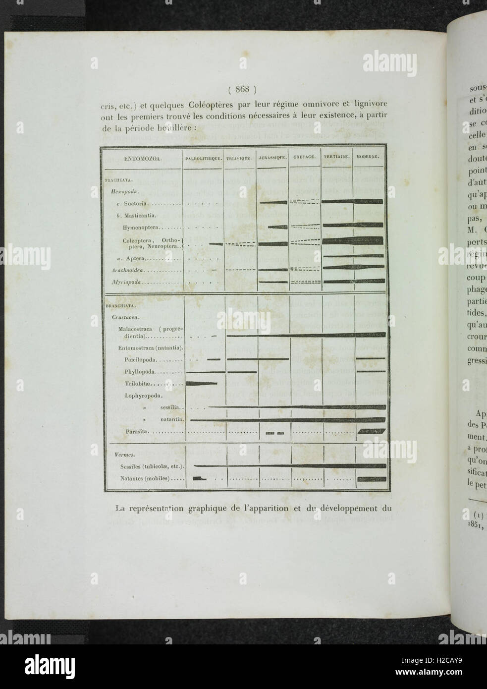 A scholarly response to a question posed by the Academy of Sciences in ...