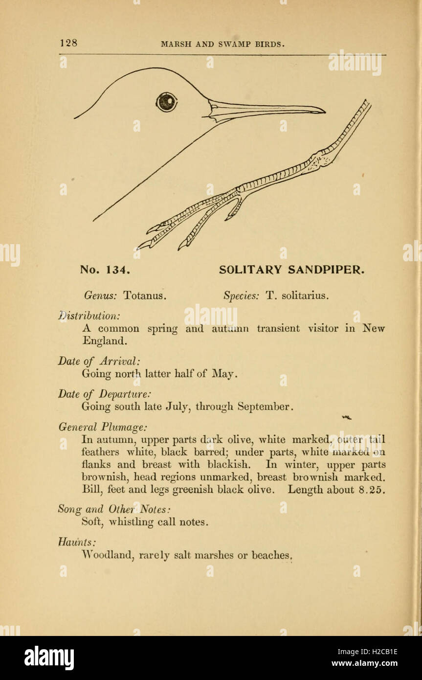 A comprehensive guide to bird species, their habitats, behaviors, and ...