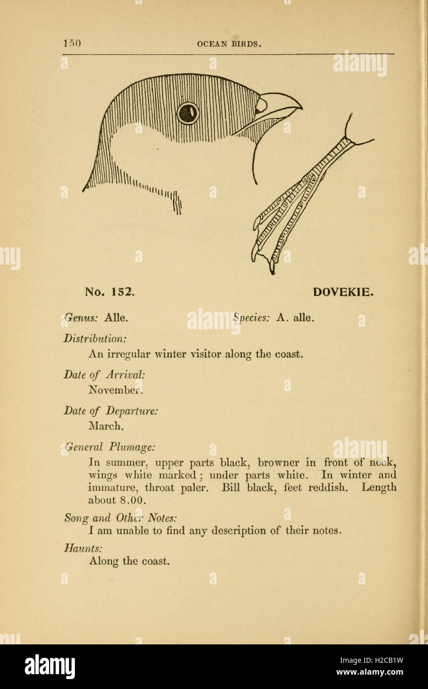 An extensive guide covering a wide range of bird species from various ...