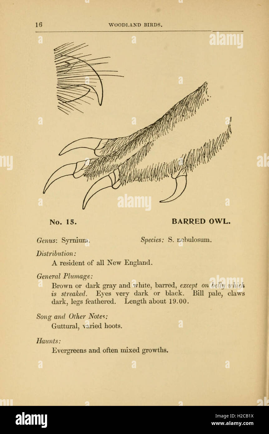 An informative guide that details the different bird species, providing ...