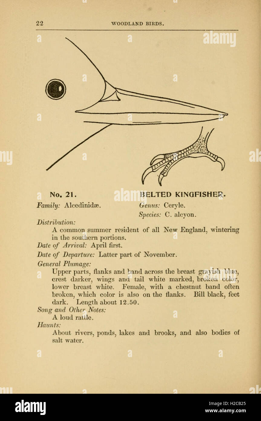 This work provides a detailed description of bird species, their ...