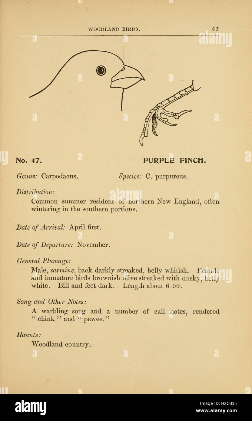 This work provides a comprehensive guide to bird species, offering ...