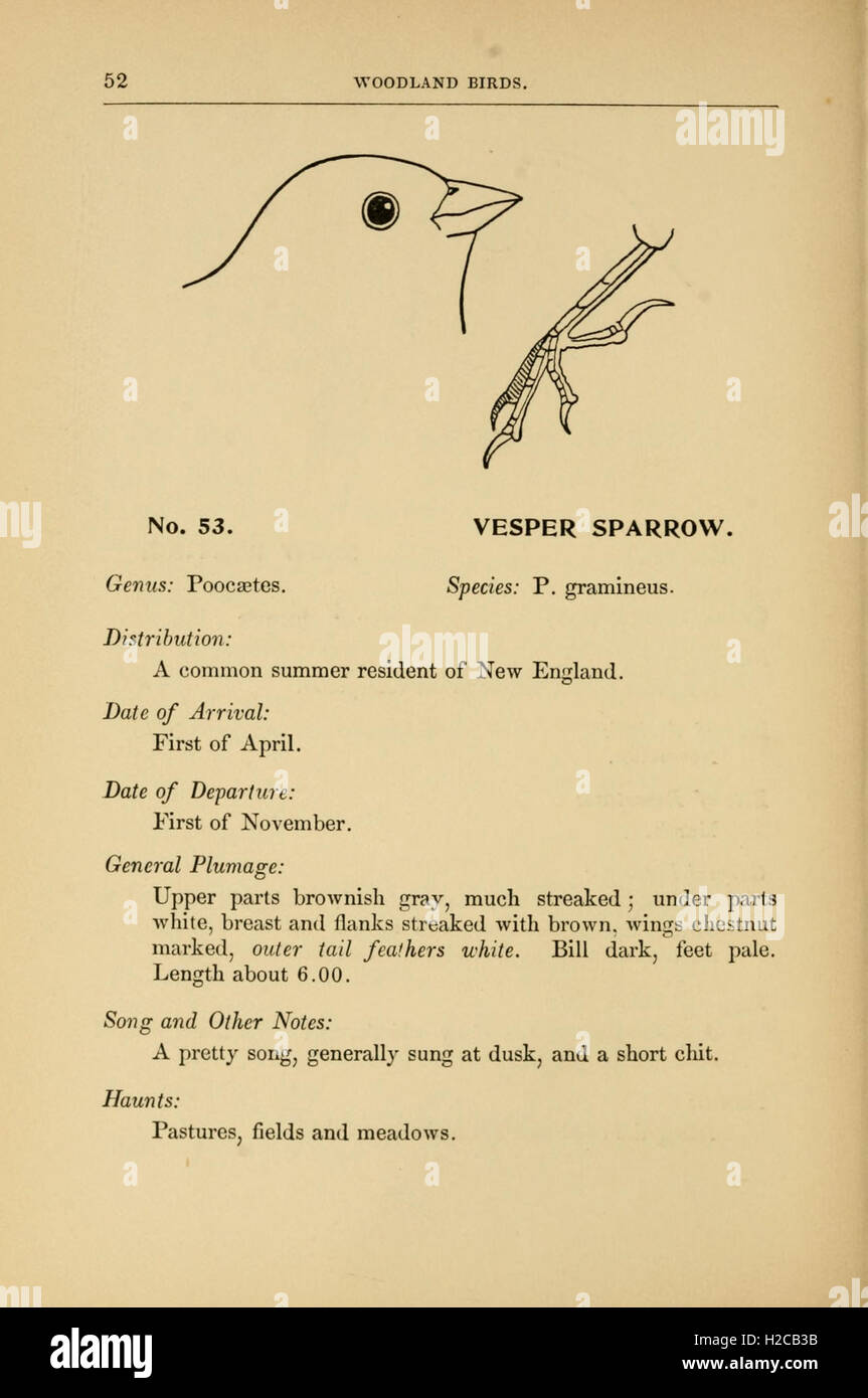 This work provides a comprehensive study on birds, detailing various ...