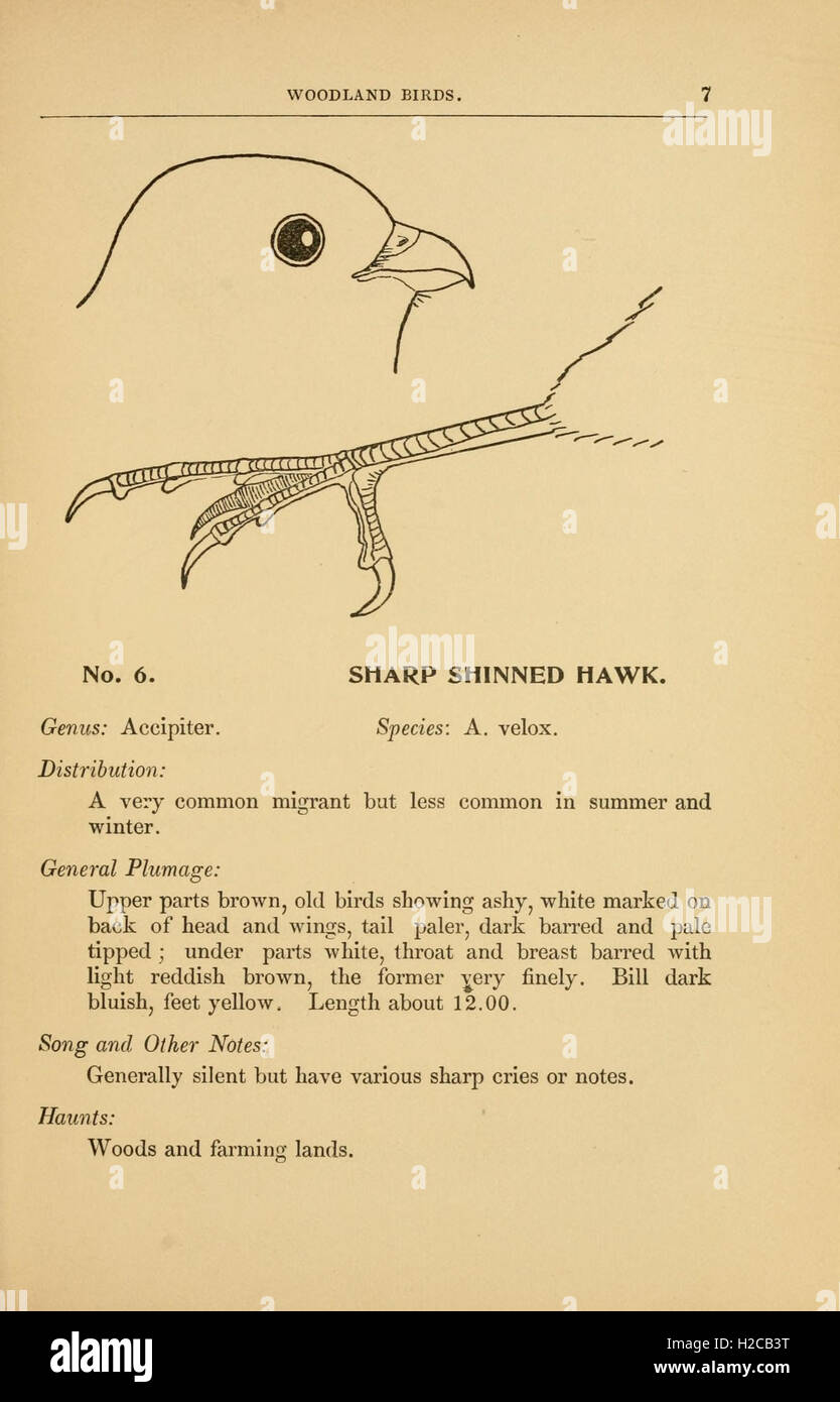 This work provides comprehensive details about various bird species ...