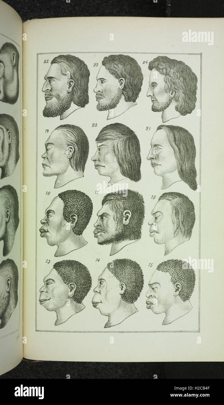 This work provides an illustration depicting the evolution of life ...