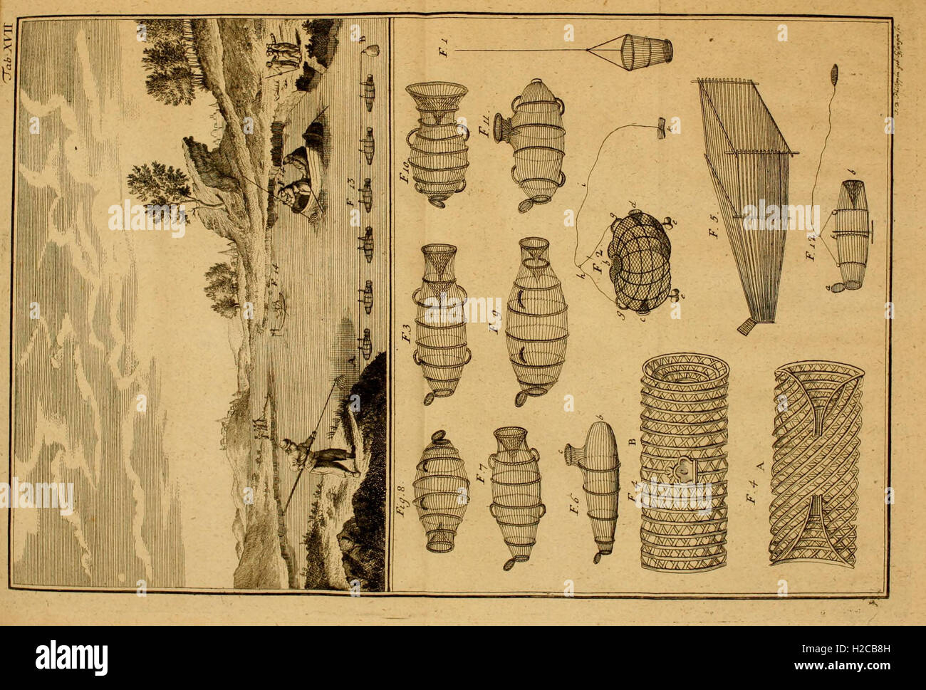 This work discusses fisheries and the history of fish species ...