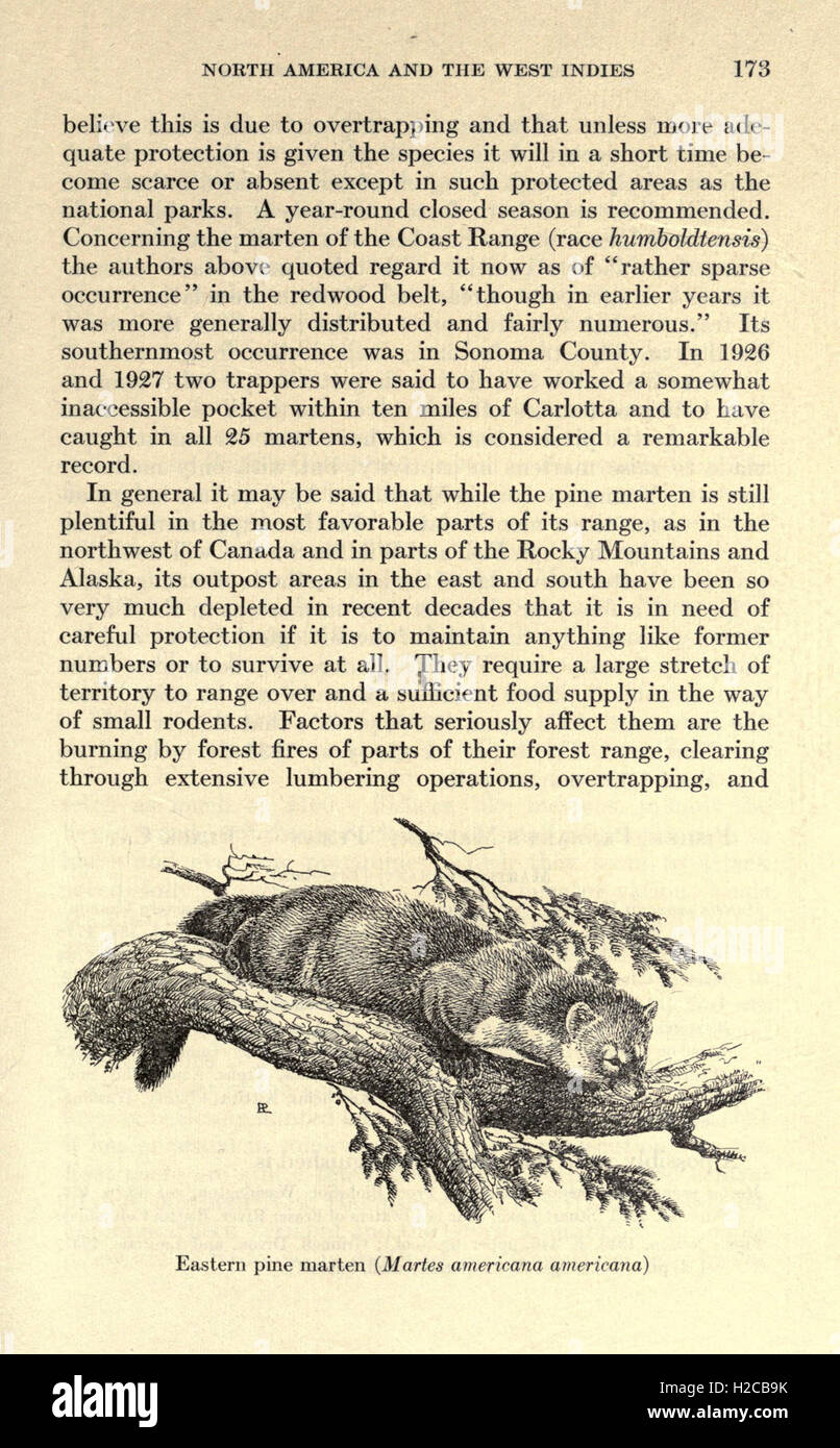 A study documenting the extinct and endangered mammals of the Western ...