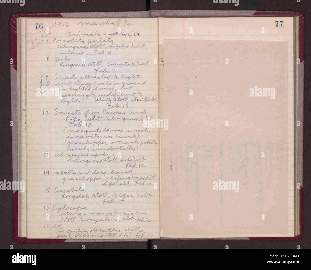 This collection book by F.R. Fosberg documents various botanical ...