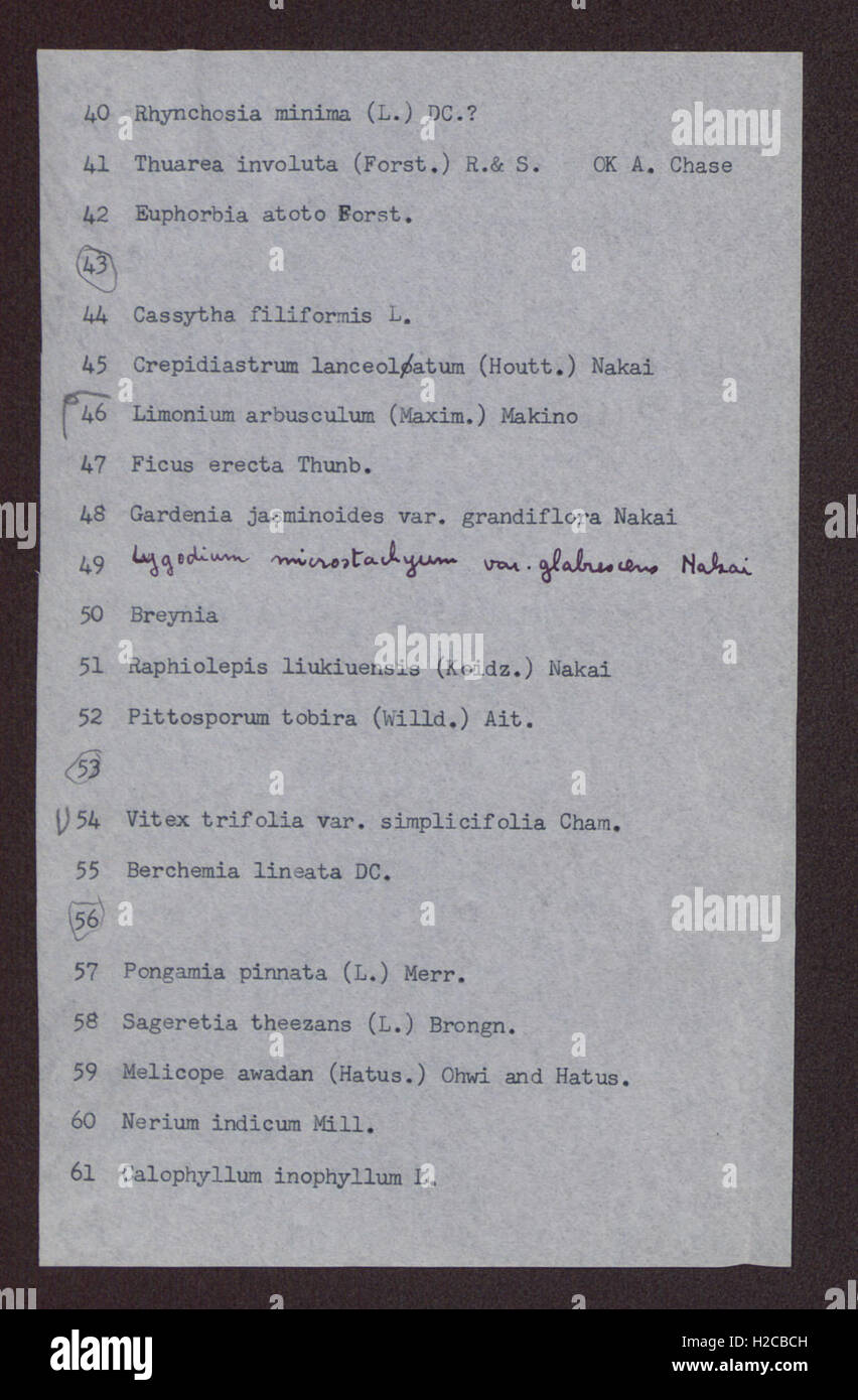 A collection of plant specimens and botanical records compiled by F. R ...