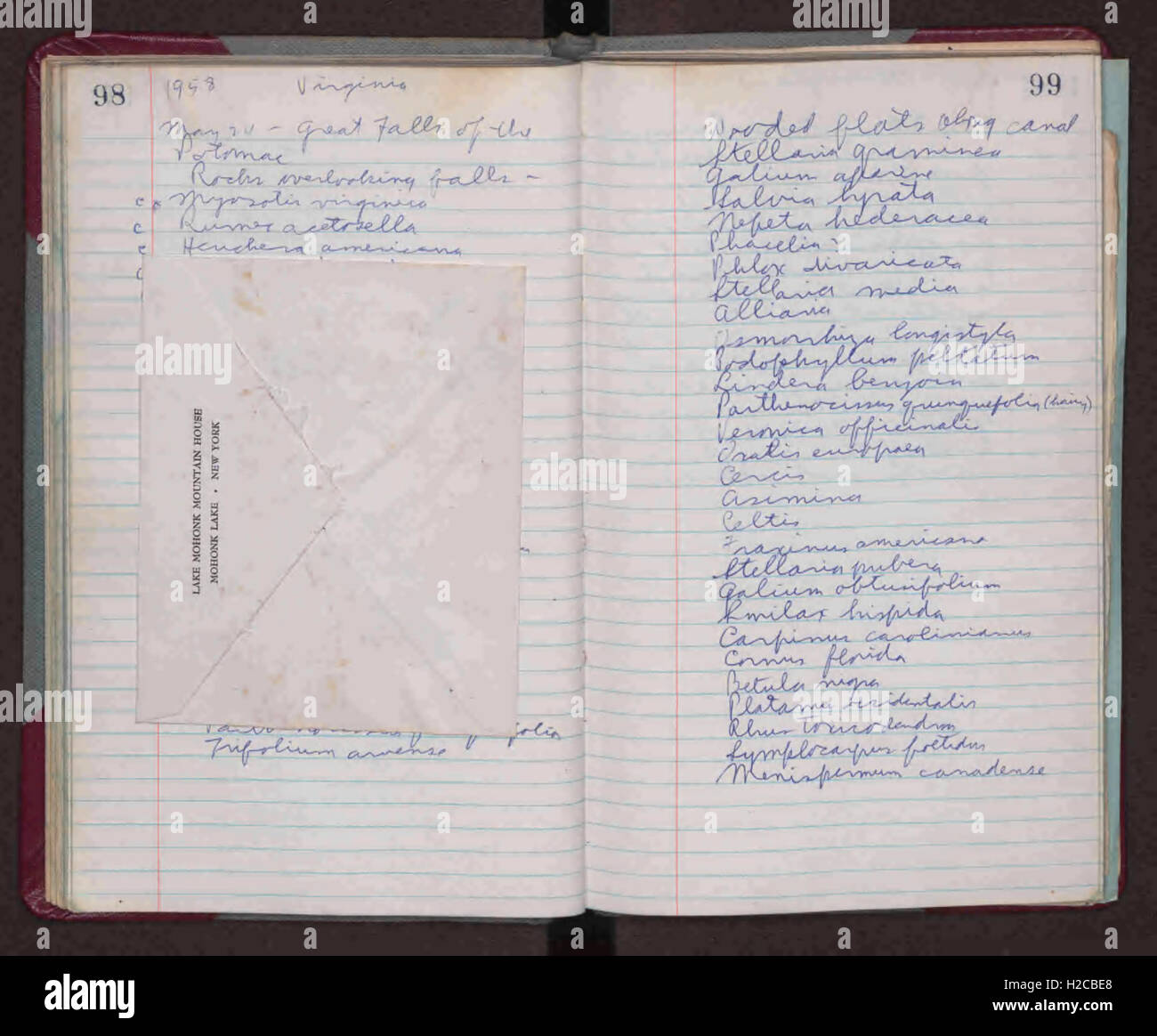 Field notes by F.R. Fosberg, documenting plant species and ecological ...