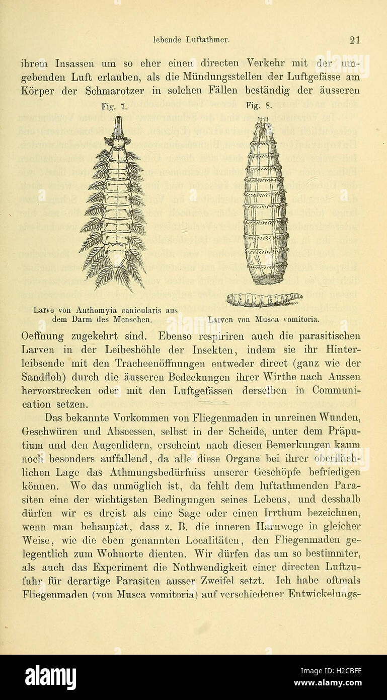A comprehensive study on the natural history of parasites, detailing ...