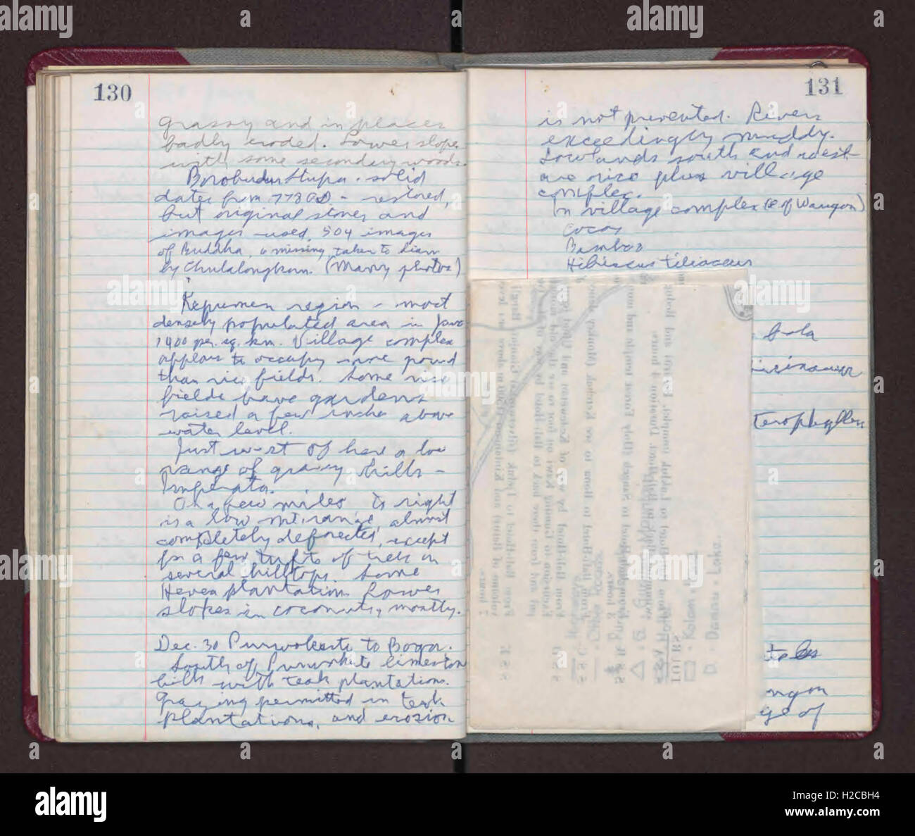 A field notebook by F.R. Fosberg, documenting his field research and ...