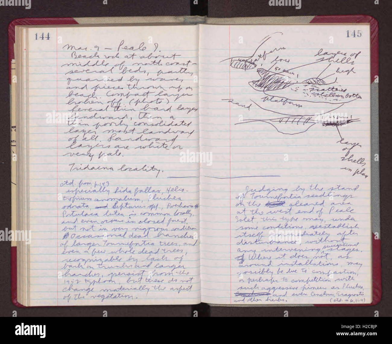 Field notes by F.R. Fosberg, documenting plant specimens and ...