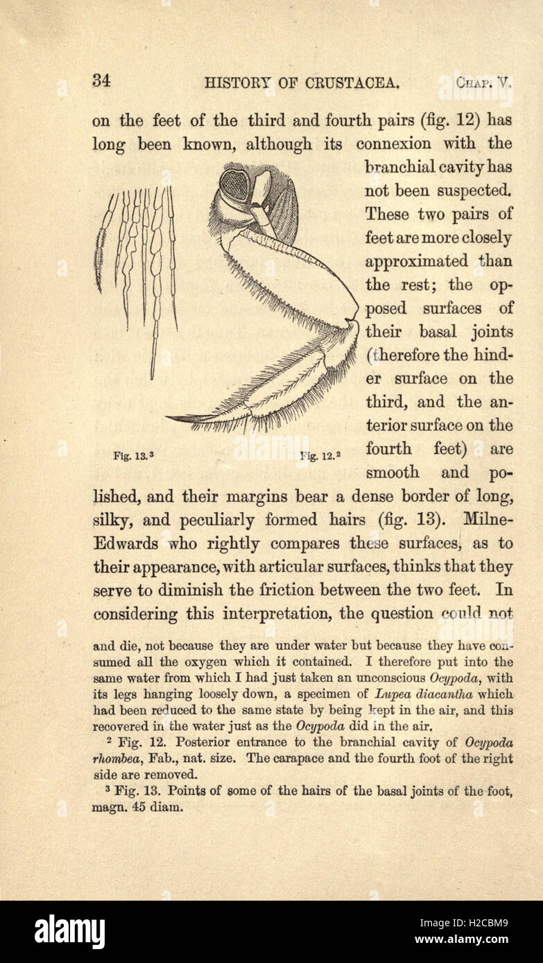 A text presenting evidence and arguments supporting Charles Darwin's theory of evolution ...