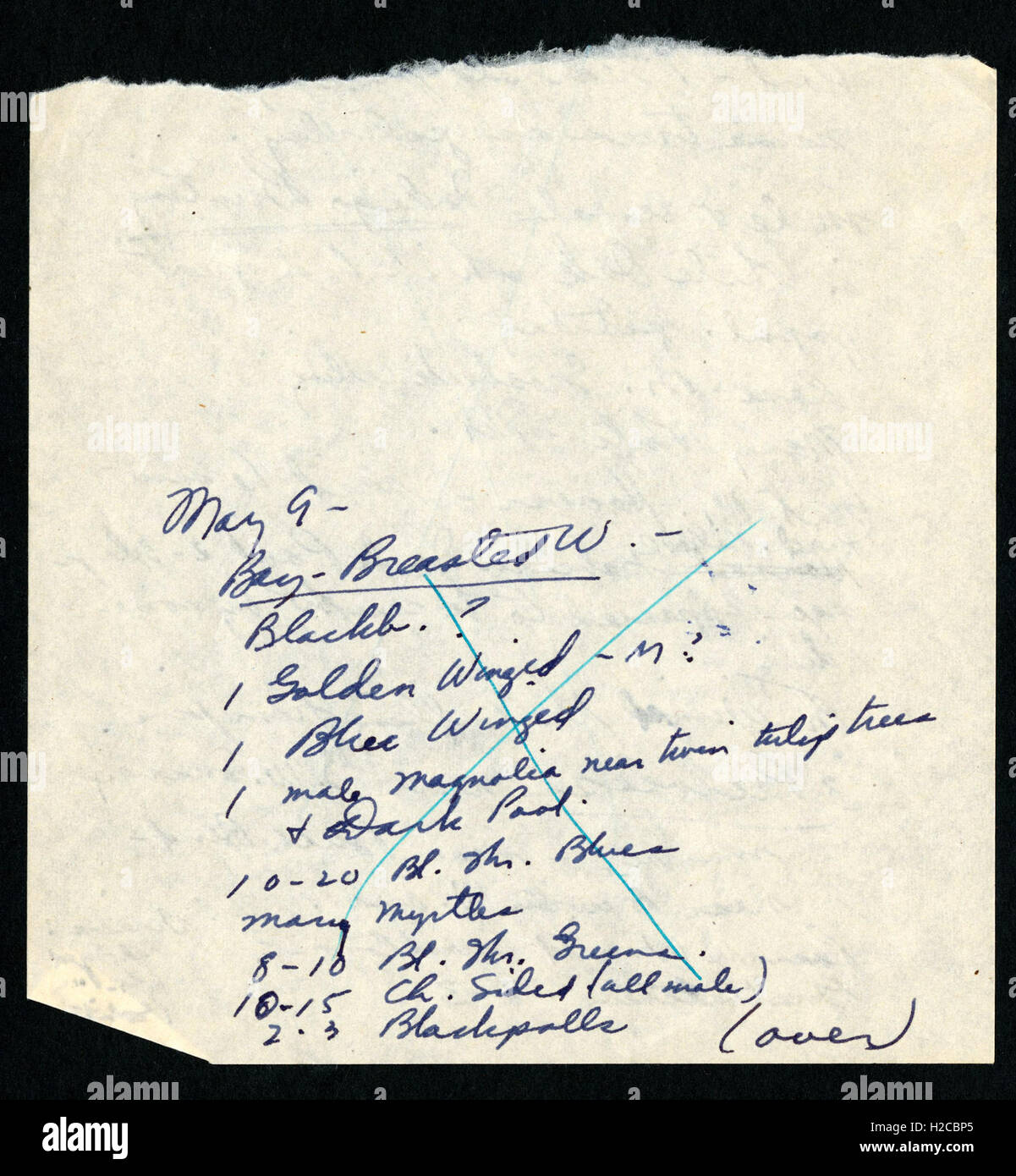 Vintage notebook scan hi-res stock photography and images - Alamy