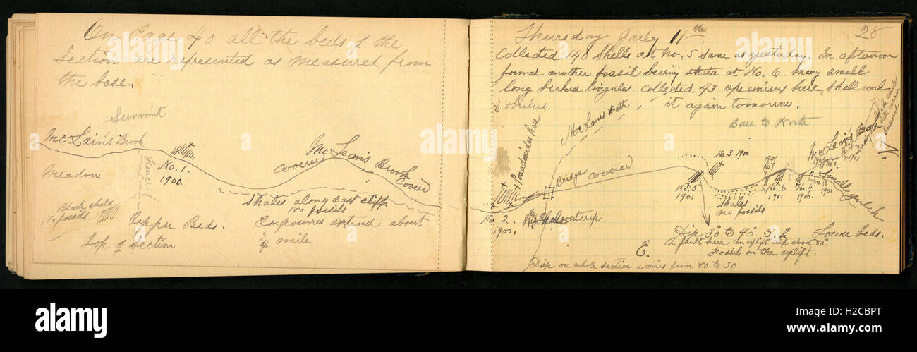 This field notebook documents observations made during 1901 in Cape ...