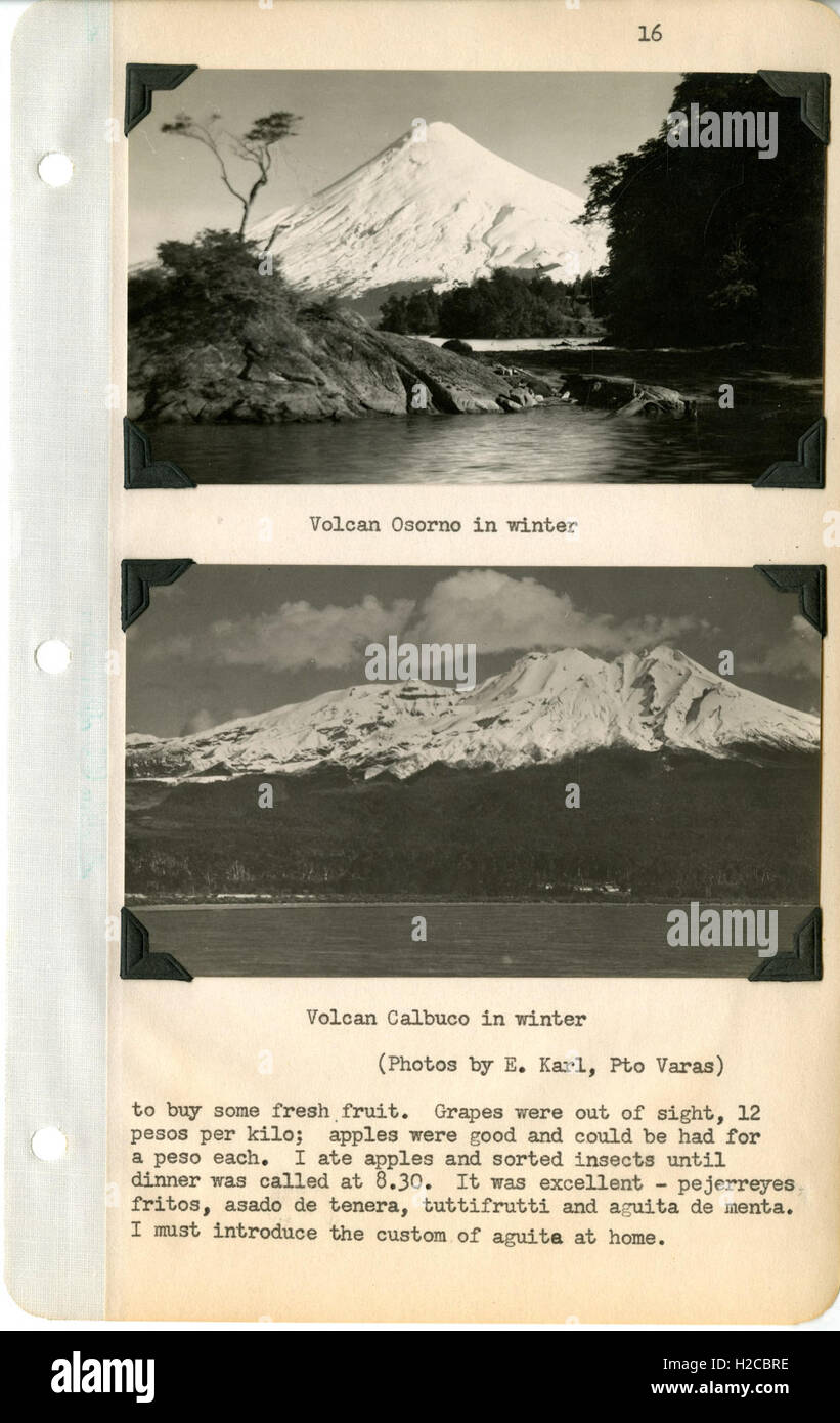 Vintage notebook scan hi-res stock photography and images - Alamy