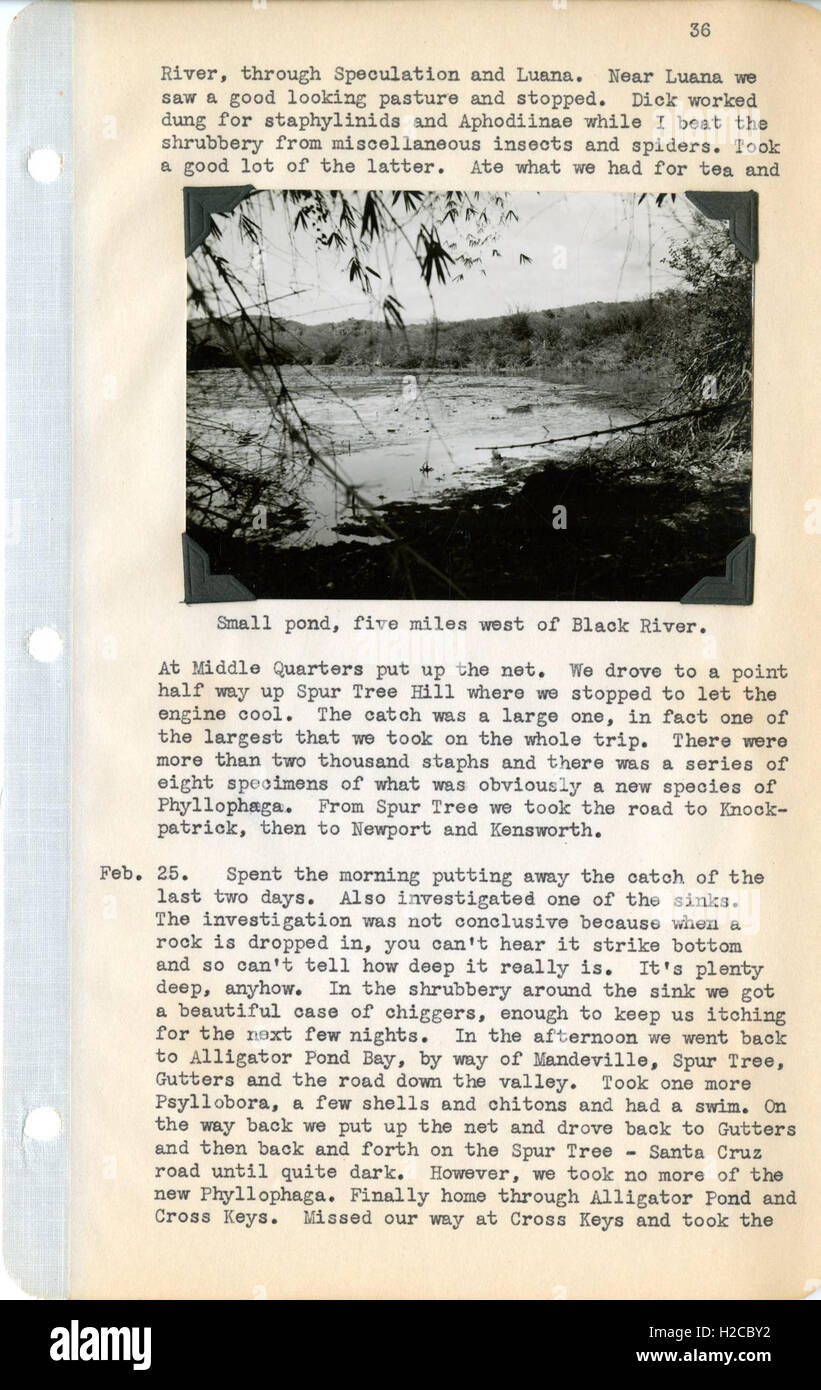 A field notebook documenting observations made in Cuba and Jamaica ...