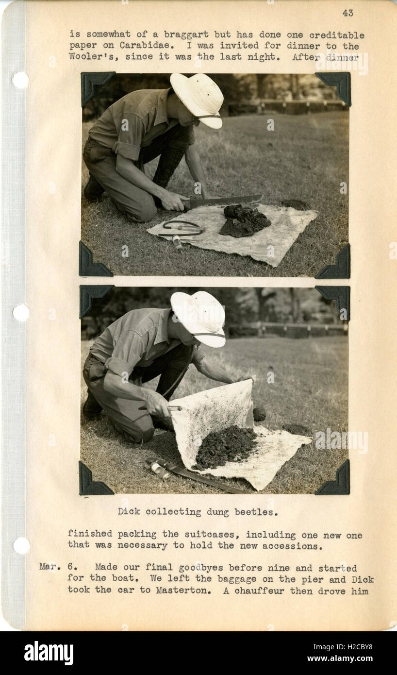 A field notebook documenting observations in Cuba and Jamaica, from the ...