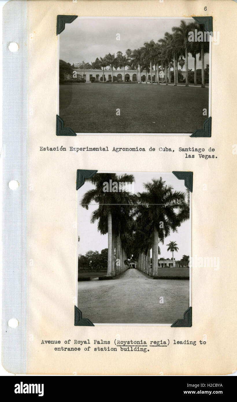 This field notebook documents observations from Cuba and Jamaica in the ...