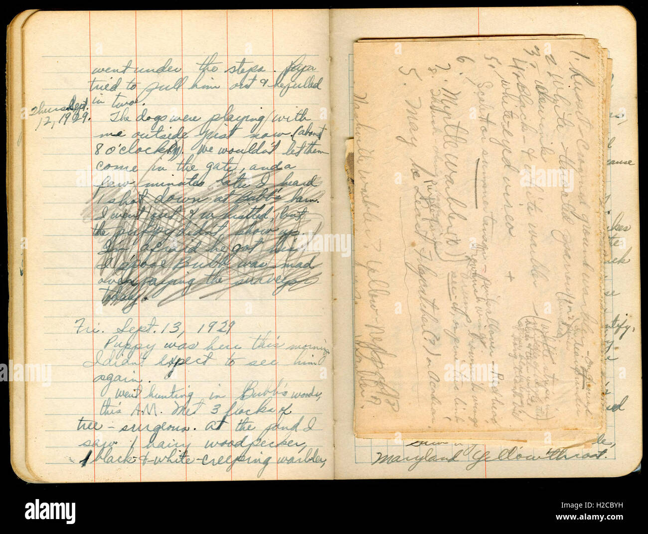 Field notebooks from 1928-1930 provide detailed observations of ...