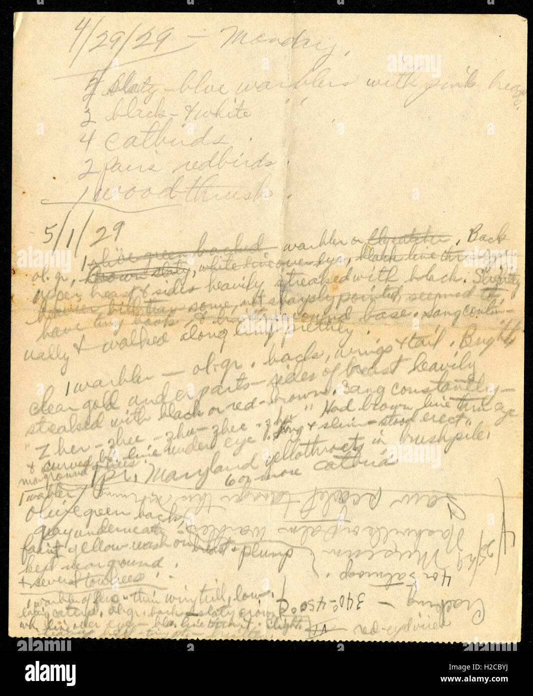 These field notebooks document scientific observations and research ...