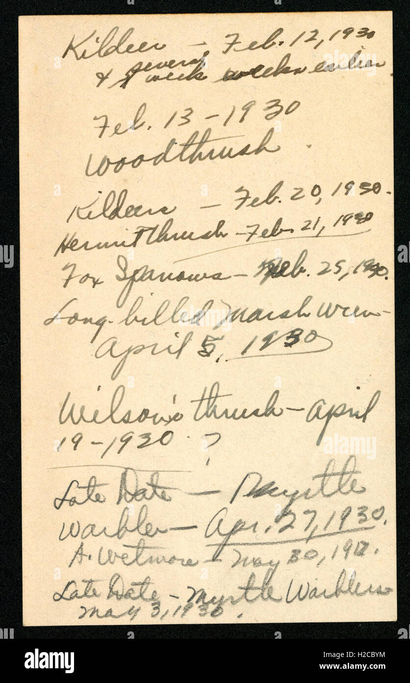 Field notebooks, 1928-1931 - field book 364, 1928-1930 Stock Photo - Alamy