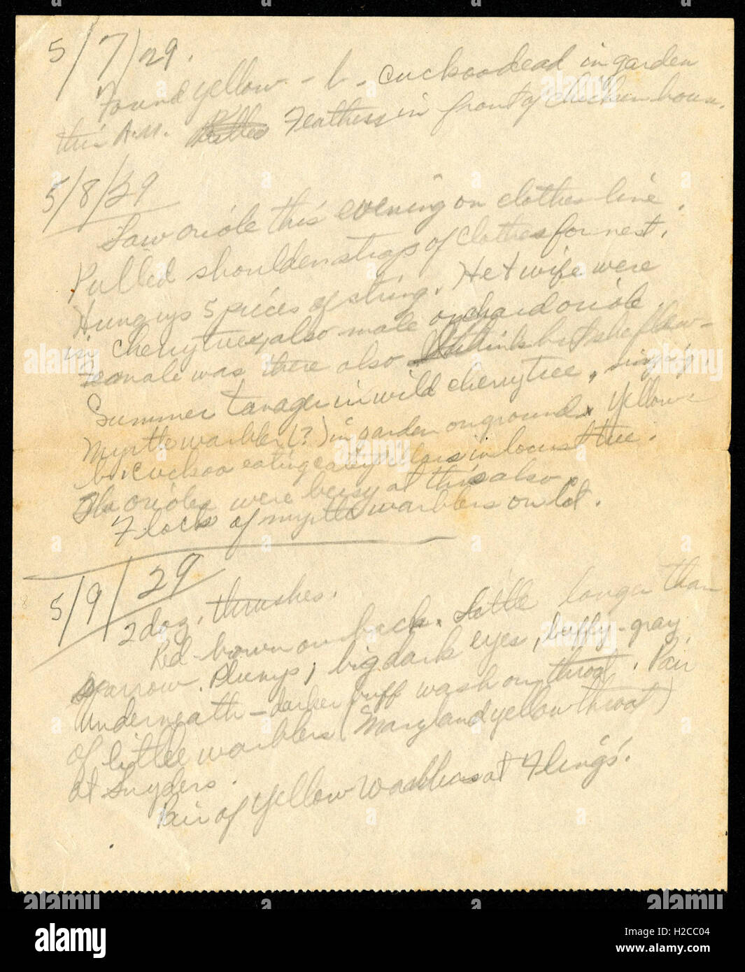 The field notebooks from 1928-1931, specifically Field Book 364 ...