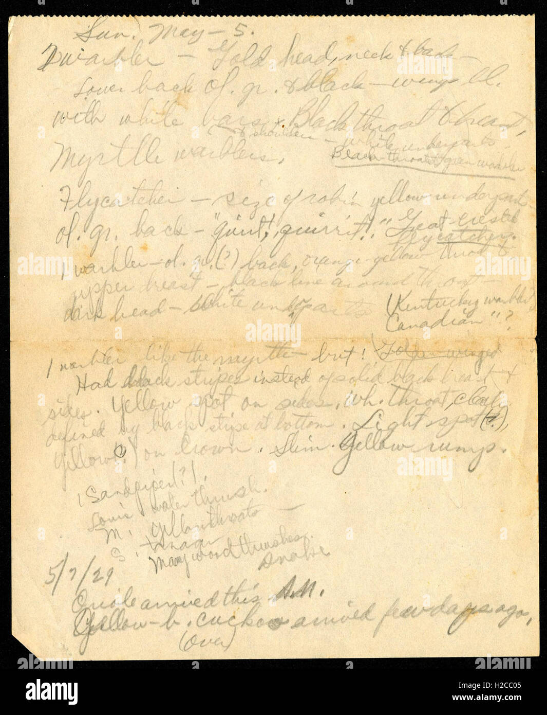 This collection of field notebooks details the observations and ...