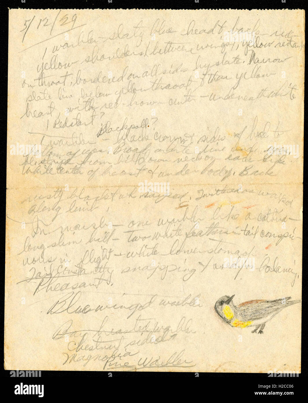 Field notebooks, 1928-1931 - field book 364, 1928-1930 Stock Photo - Alamy