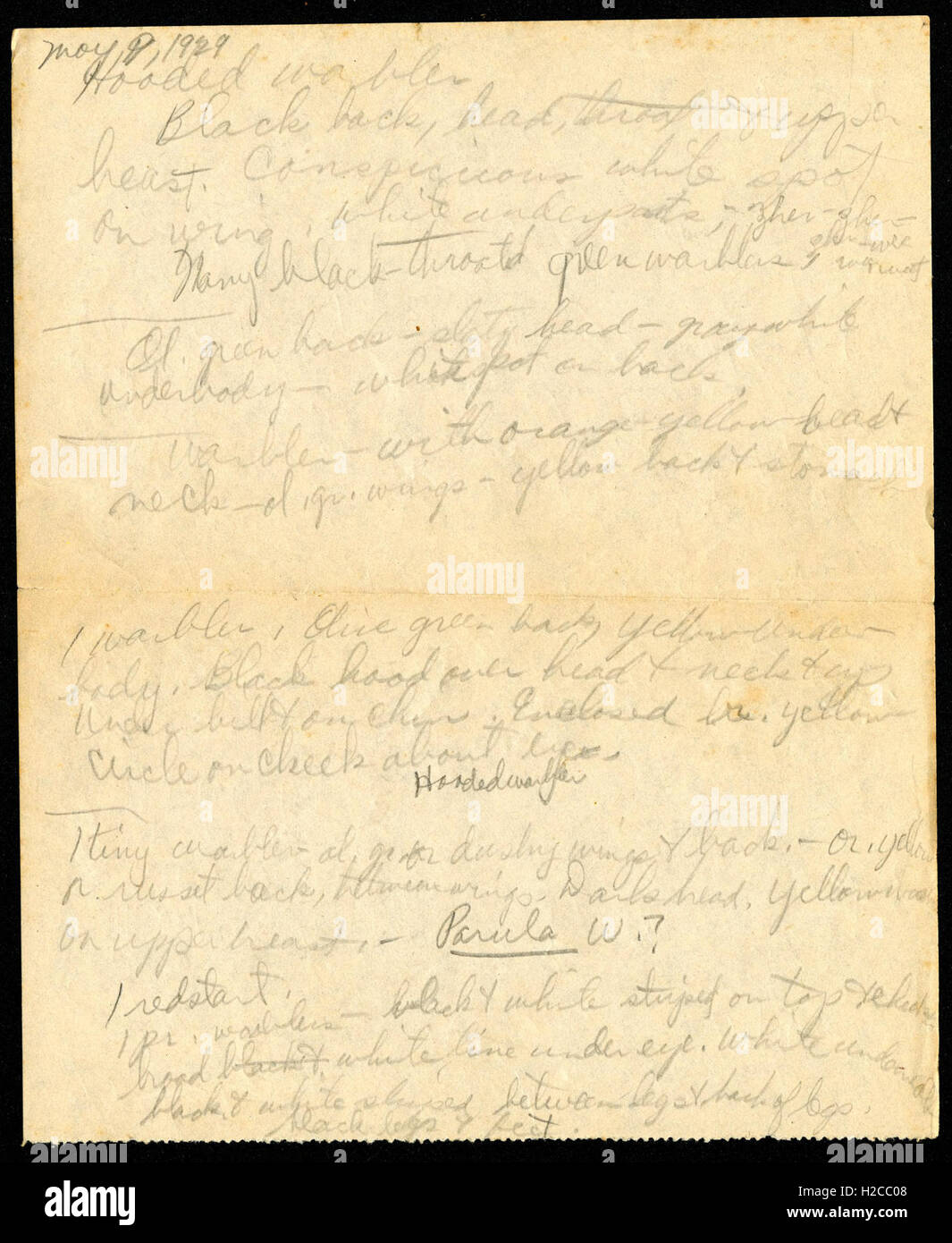 A collection of field notebooks documenting scientific observations ...