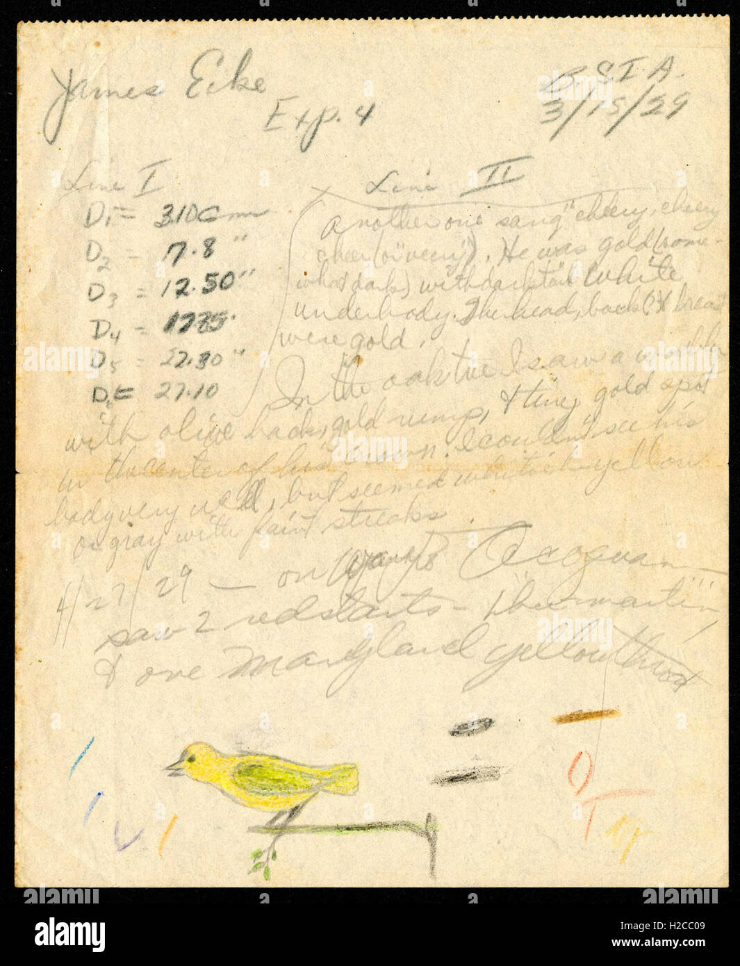 This field notebook documents observations and research from 1928 to ...