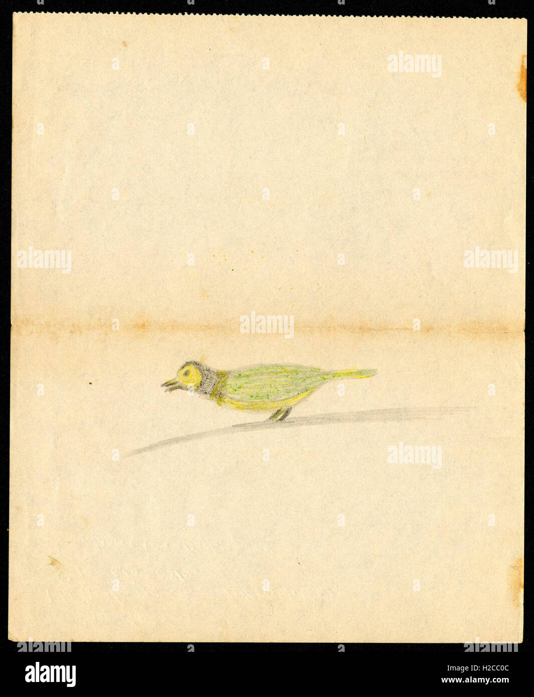 These field notebooks document scientific observations and research ...
