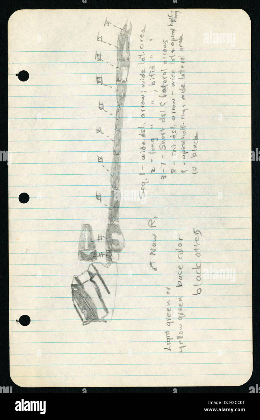 This field notebook contains scientific observations and data from ...