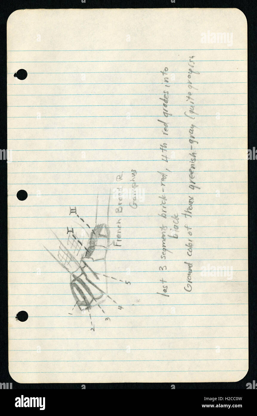 Vintage notebook scan hi-res stock photography and images - Alamy