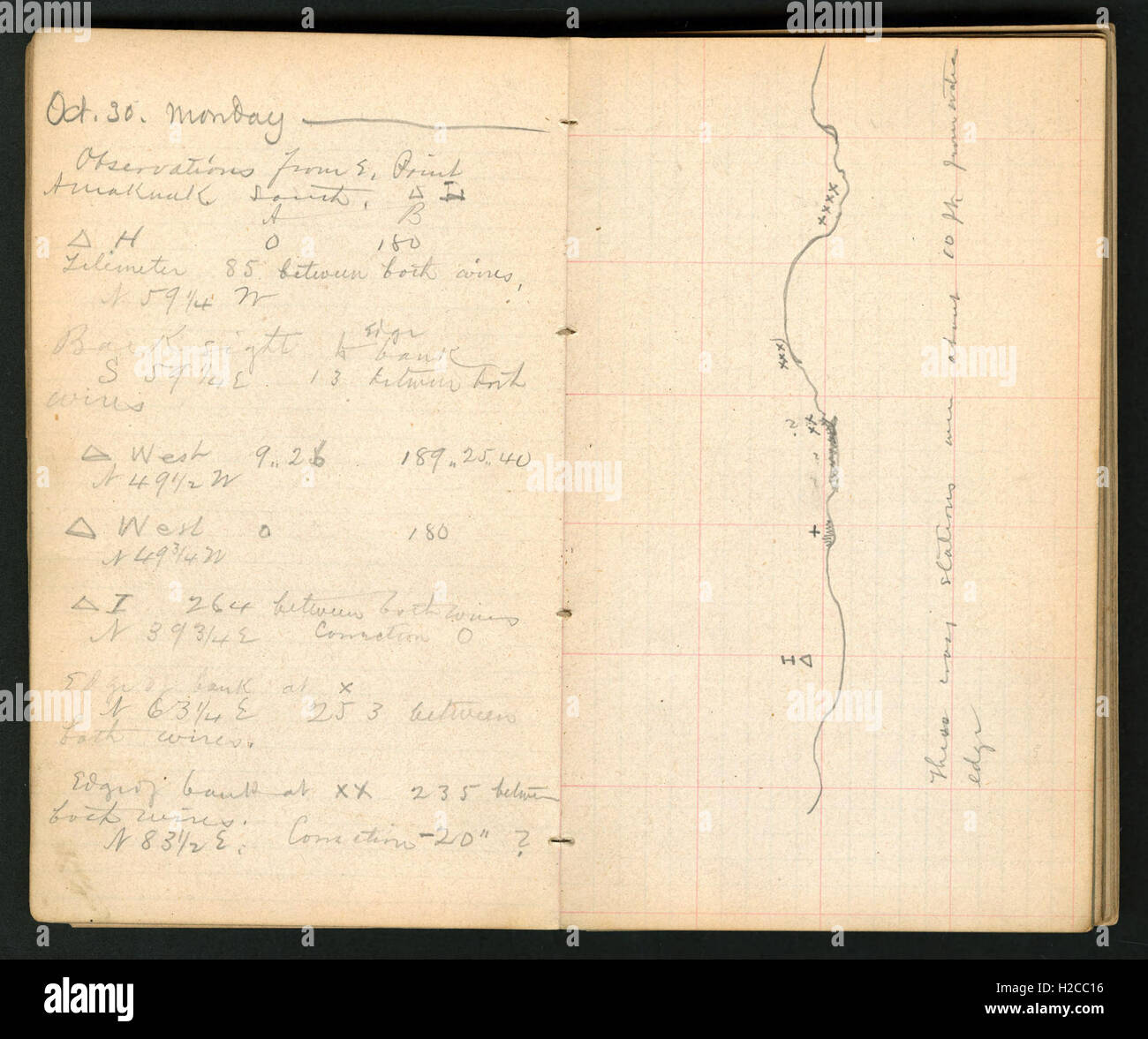 These field notes document observations from 1871 to 1872, capturing ...