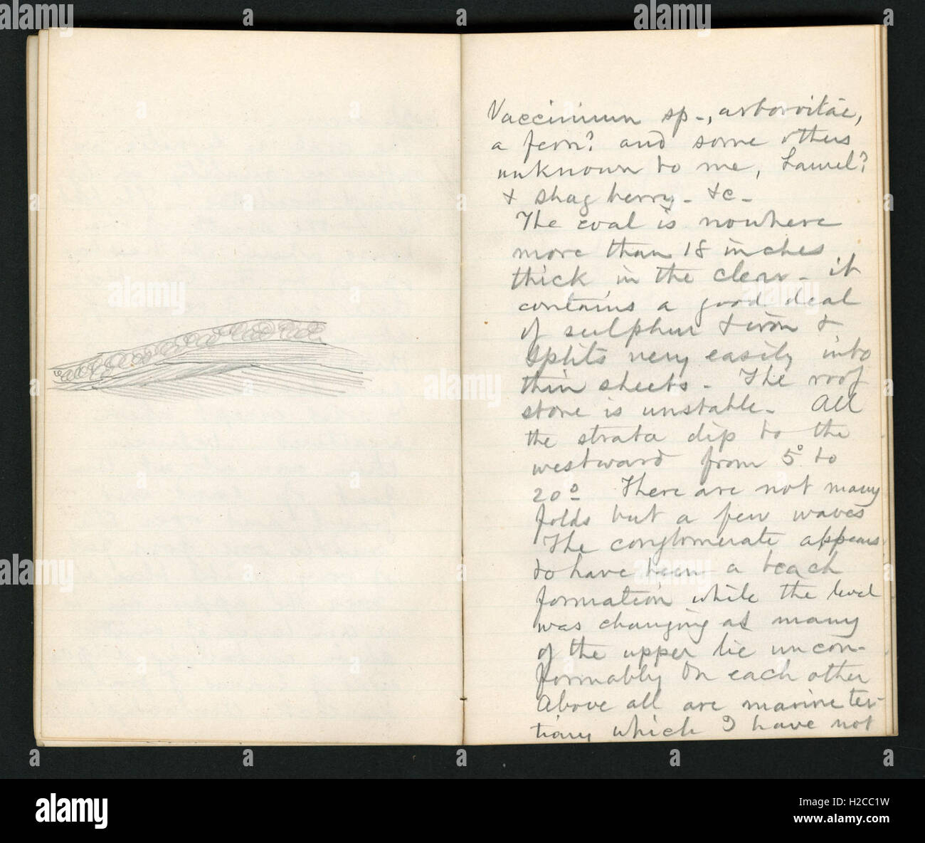 These field notes from 1871 document observations of local wildlife ...