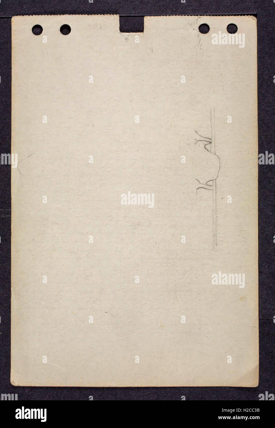 A collection of field notes from 1955, documenting various scientific ...
