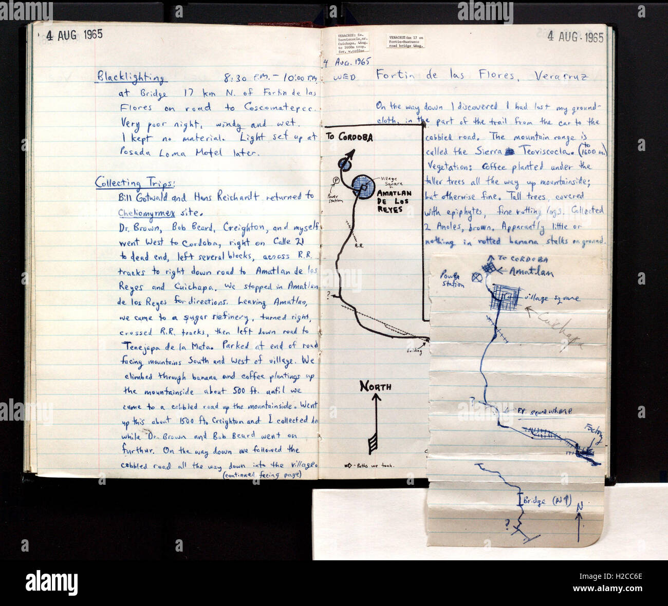 These field notes document observations and research conducted in ...