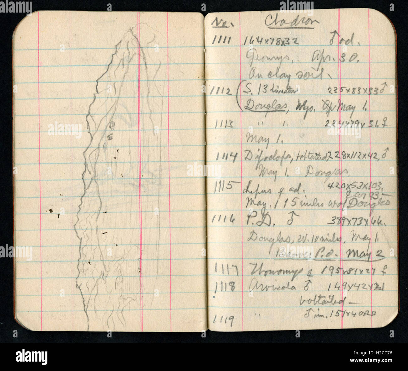 This document contains field notes from the regions of Minnesota and ...