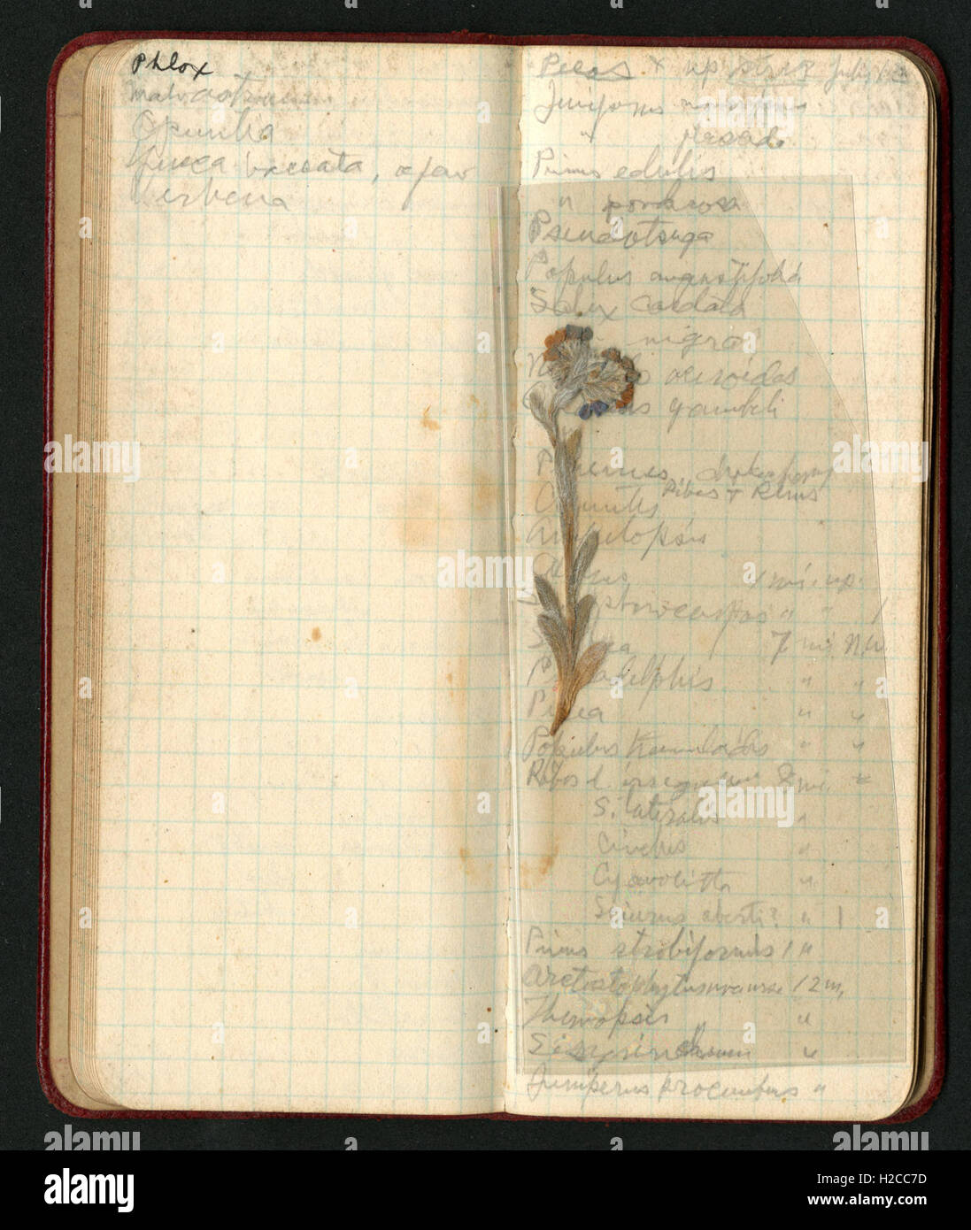 These field notes document the scientific observations made in New ...
